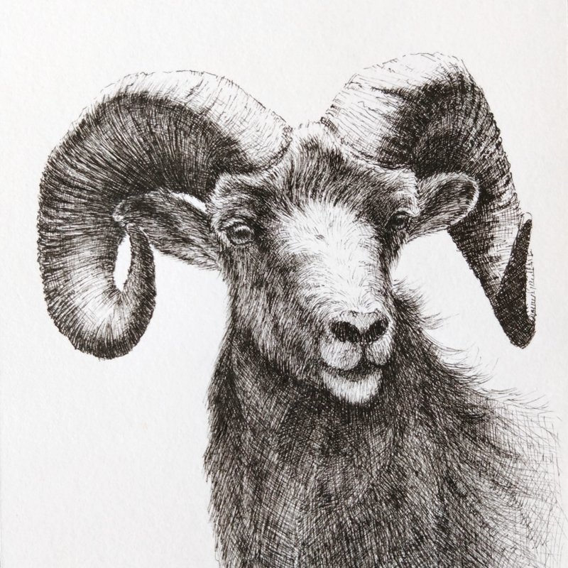 SOPH | Pinkoi | 设计师品牌